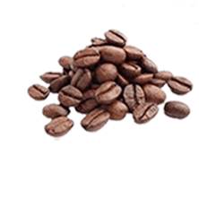 About - Bali Extract Utama