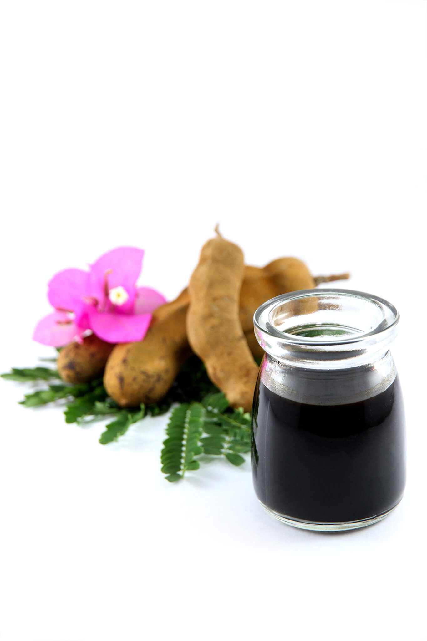 Extract Products | Bali Extract Utama (BEU)